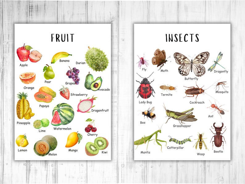 Educational Animals Chart for Kids | Toddler Learning Poster ...