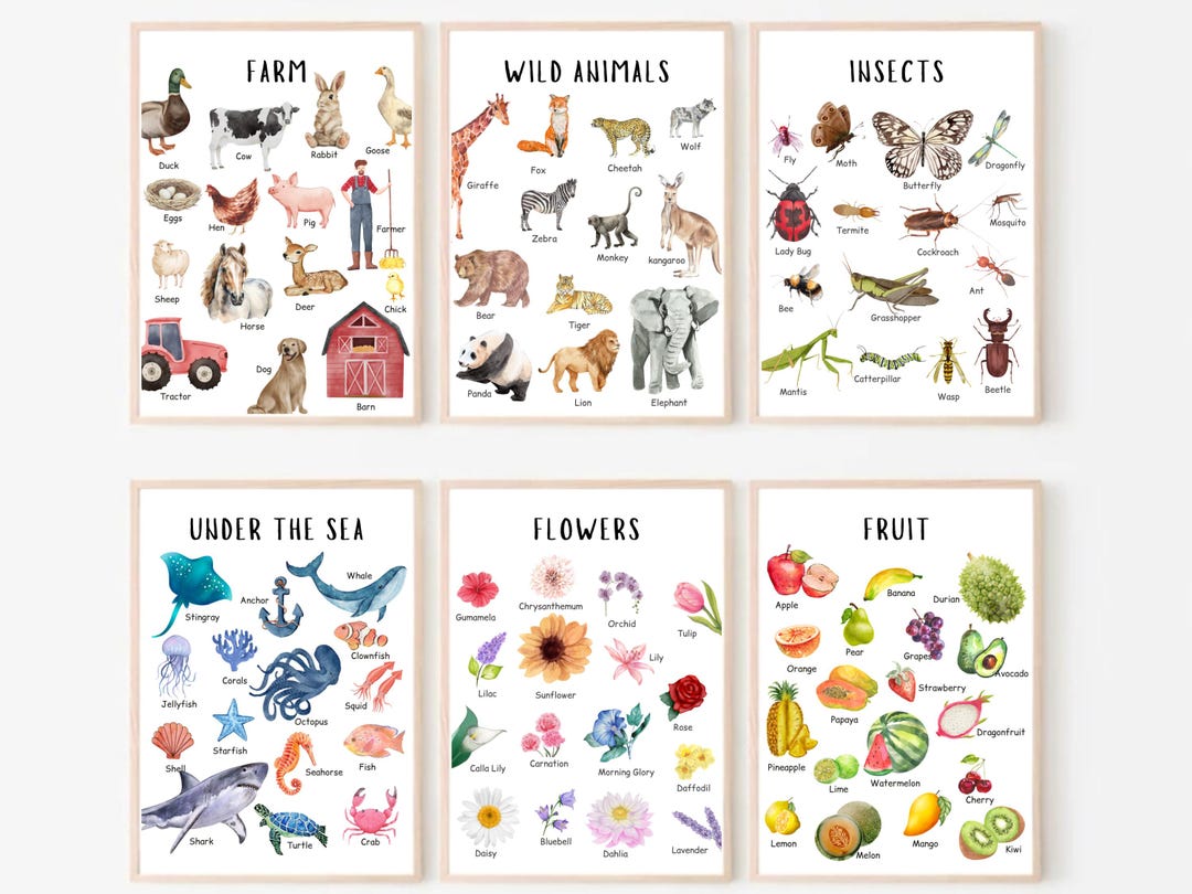 Educational Animals Chart for Kids Toddler Learning Poster Educational ...