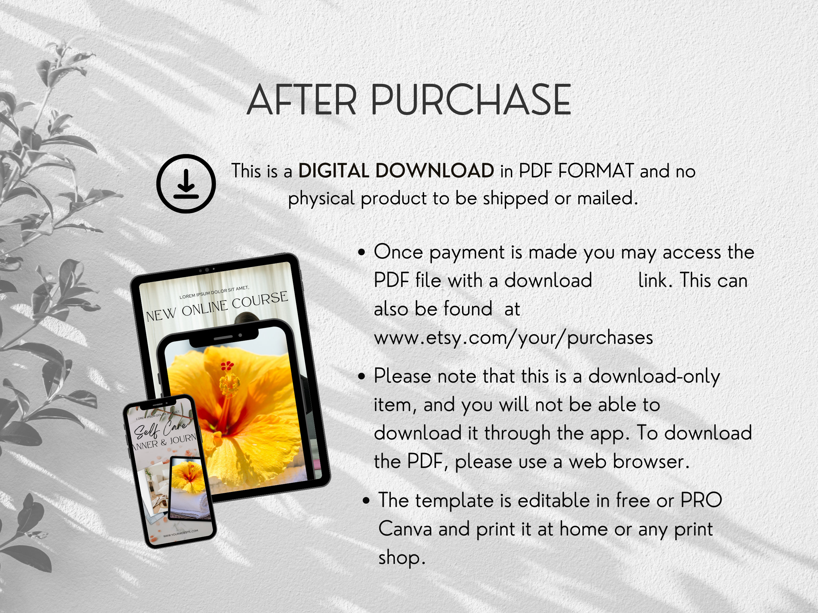 500+ DIY Brand Design Package - Branding Templates, Brand Identity Kit ...