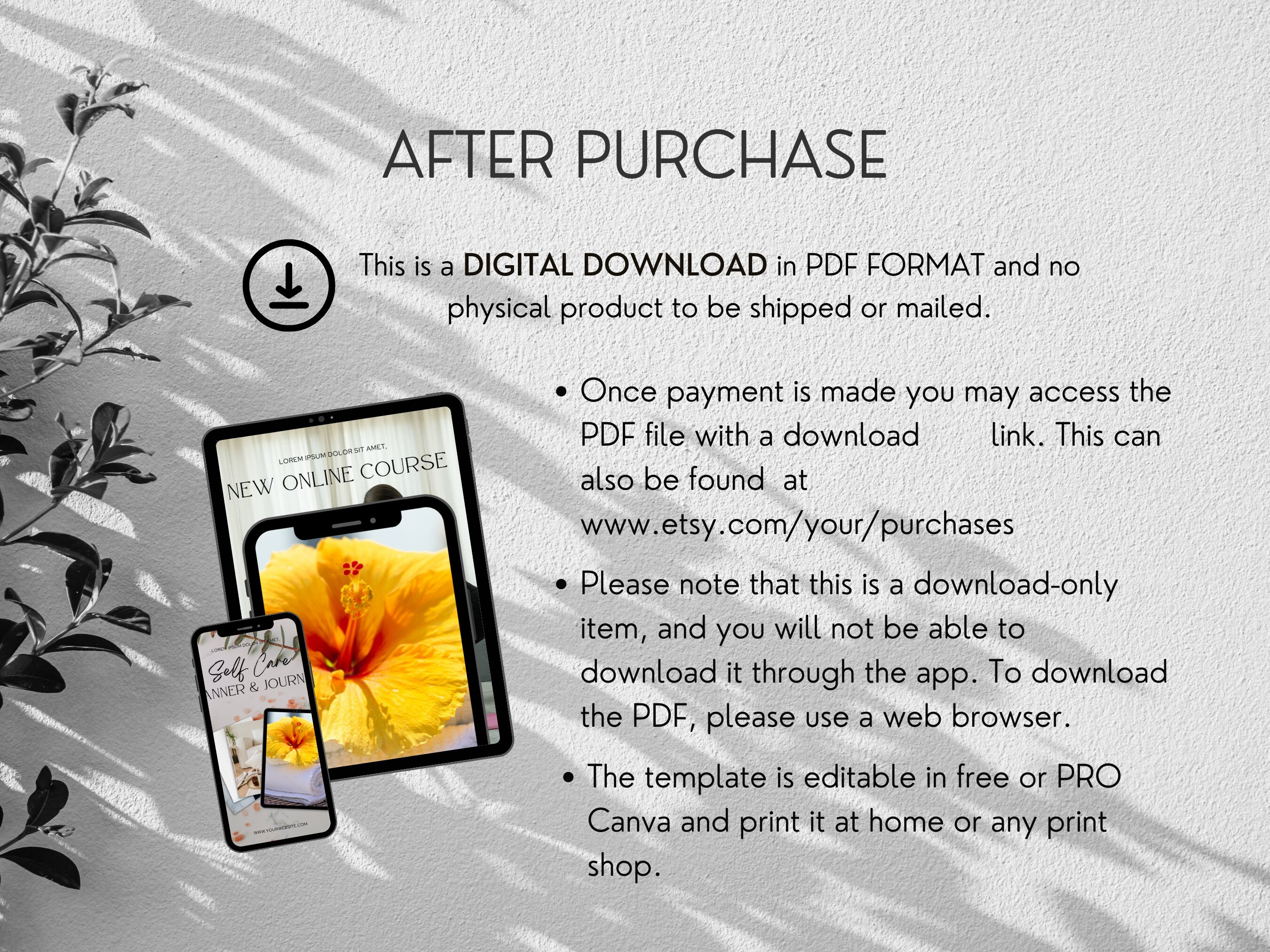 Editable Cleaning Schedule Bundle, Cleaning Business Templates, Home ...