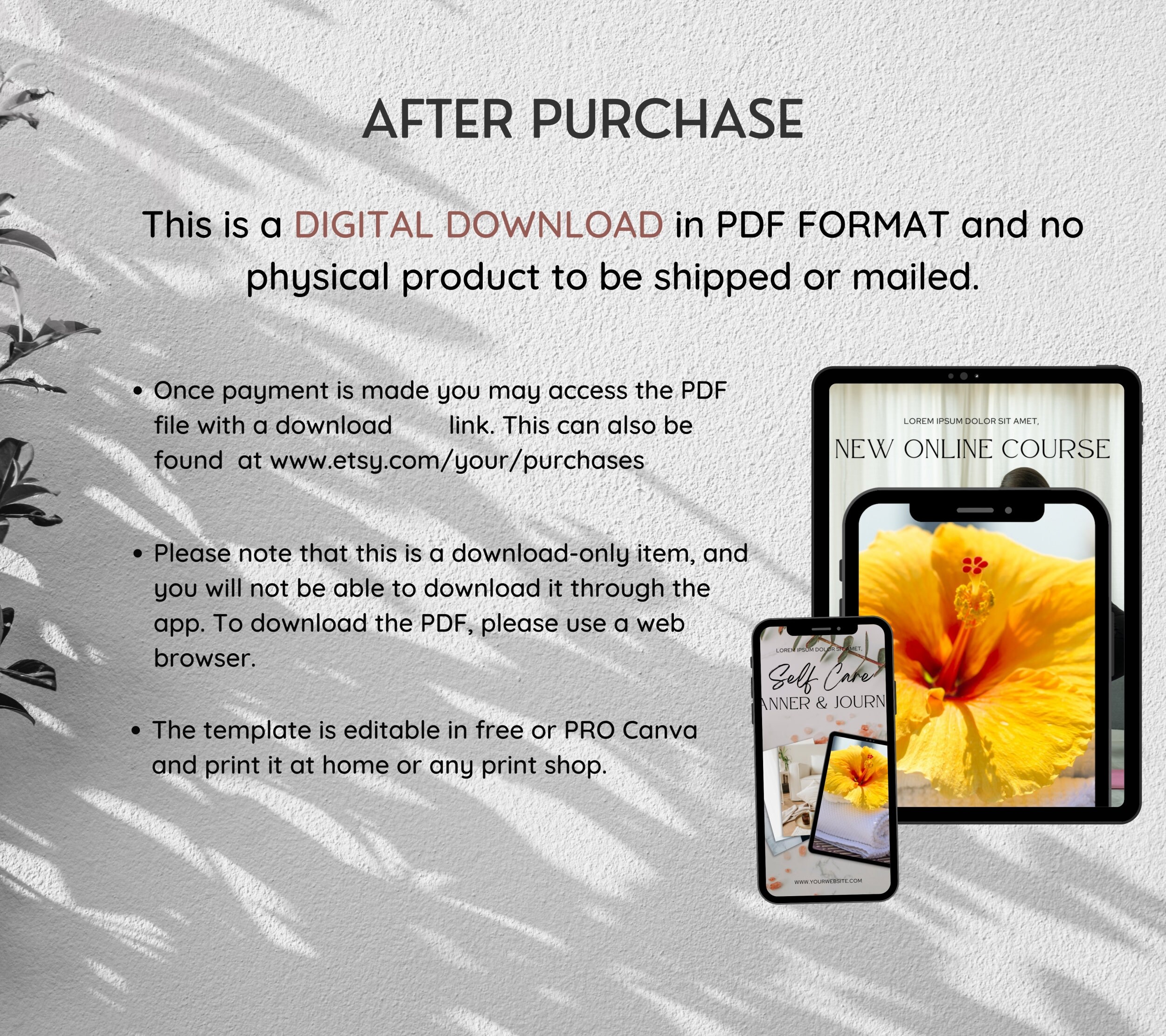 Business Coaching Program Canva Template | Client Welcome Package ...