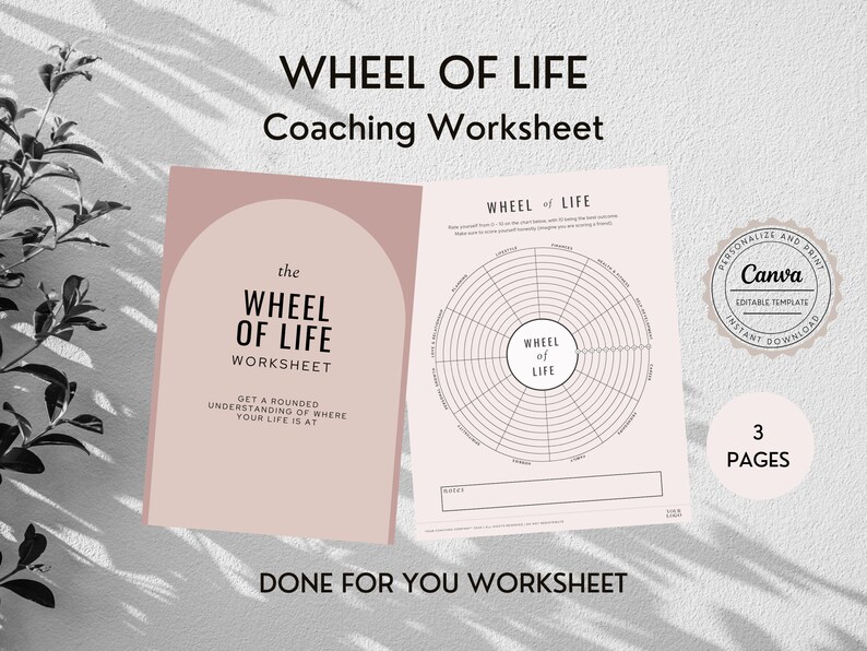 Editable Life Wheel Template Worksheet | Done for You Coaching Template ...