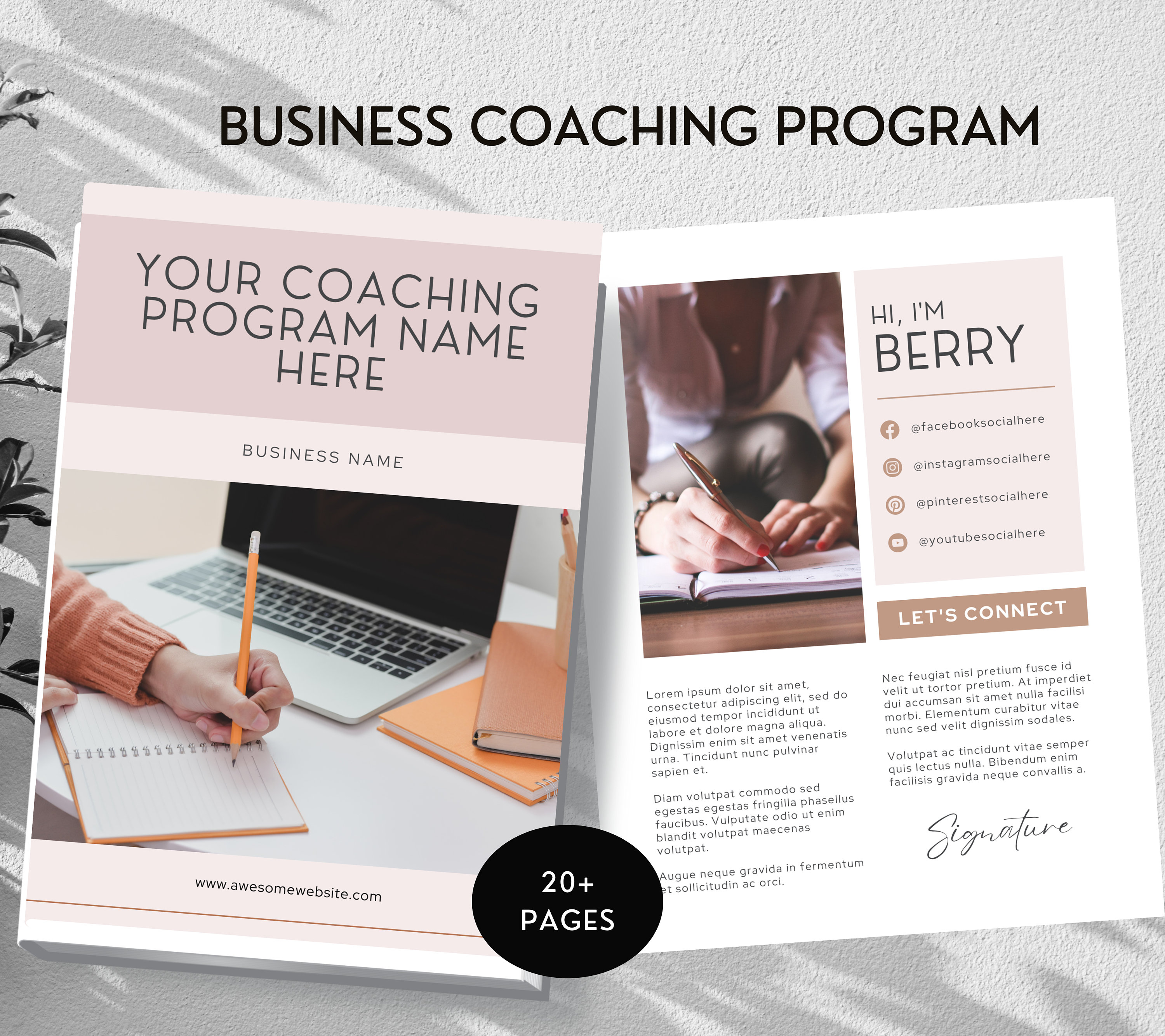 Business Coaching Program Canva Template | Client Welcome Package ...