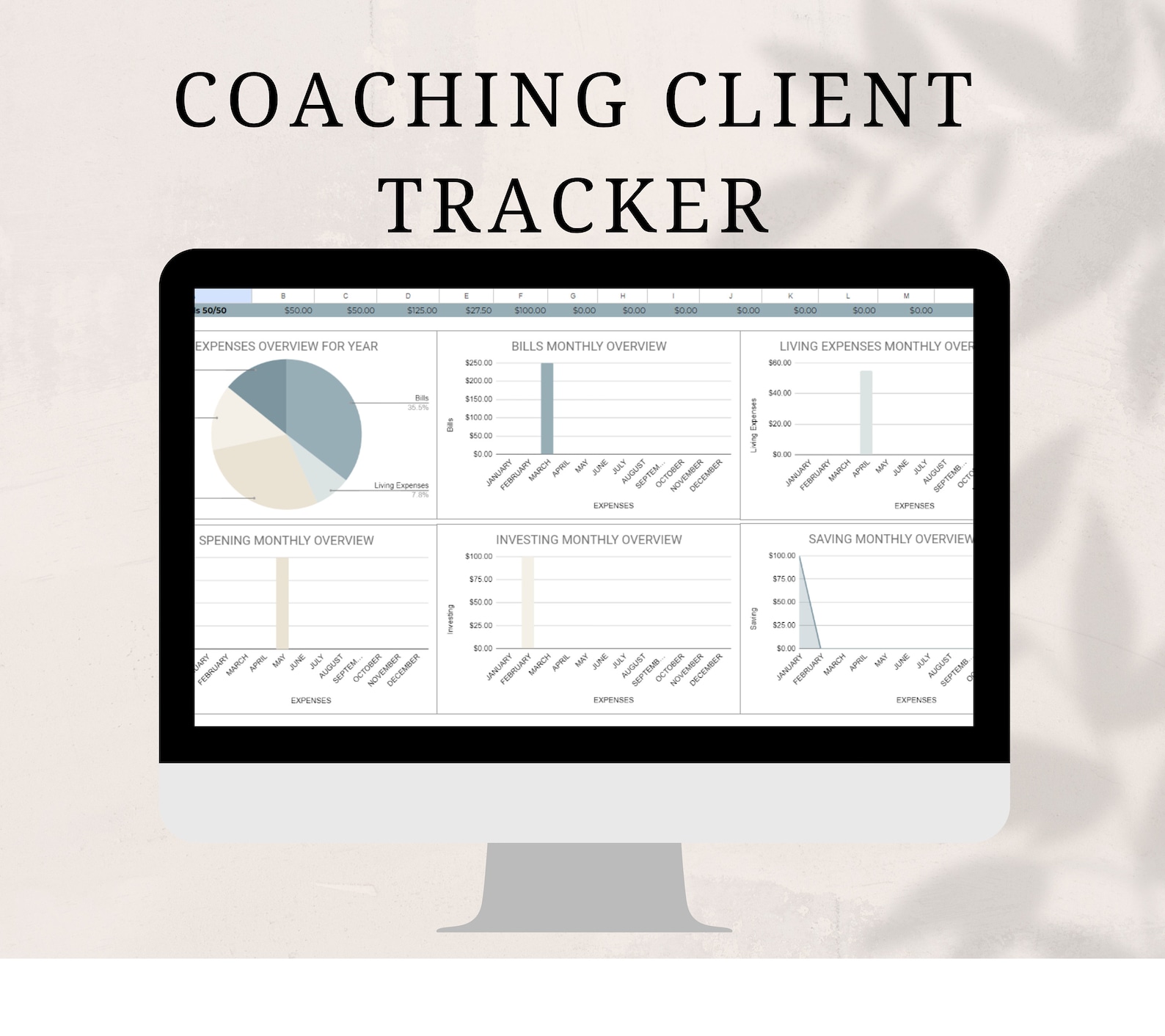 Coaching Client Tracker - Client Organizer, Progress Tracker, Google ...