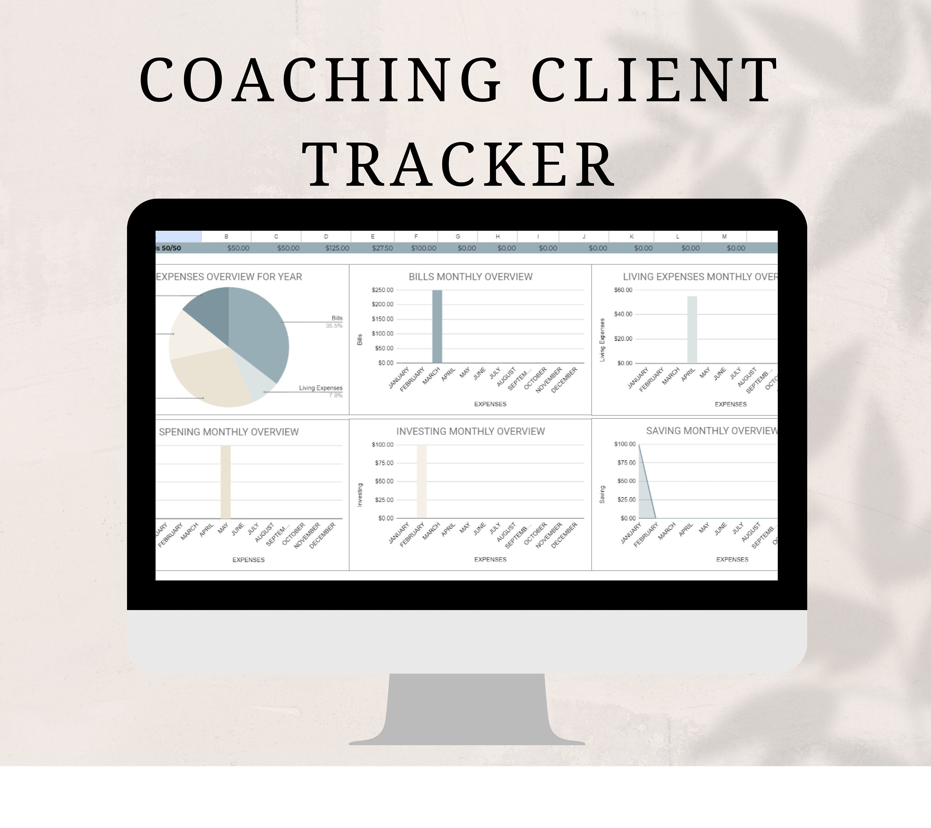 Coaching Client Tracker - Client Organizer, Progress Tracker, Google ...