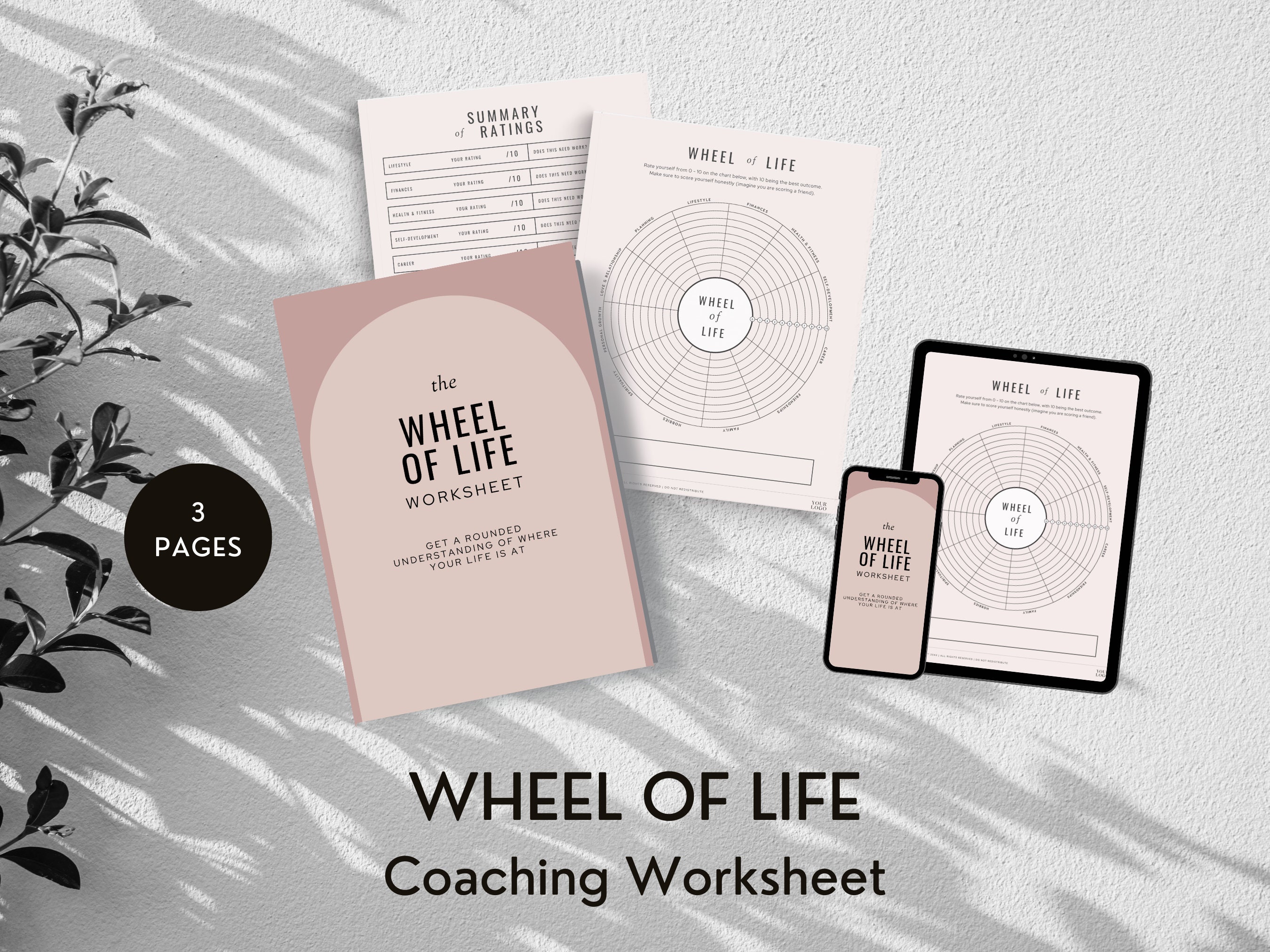 Editable Life Wheel Template Worksheet | Done for You Coaching Template ...
