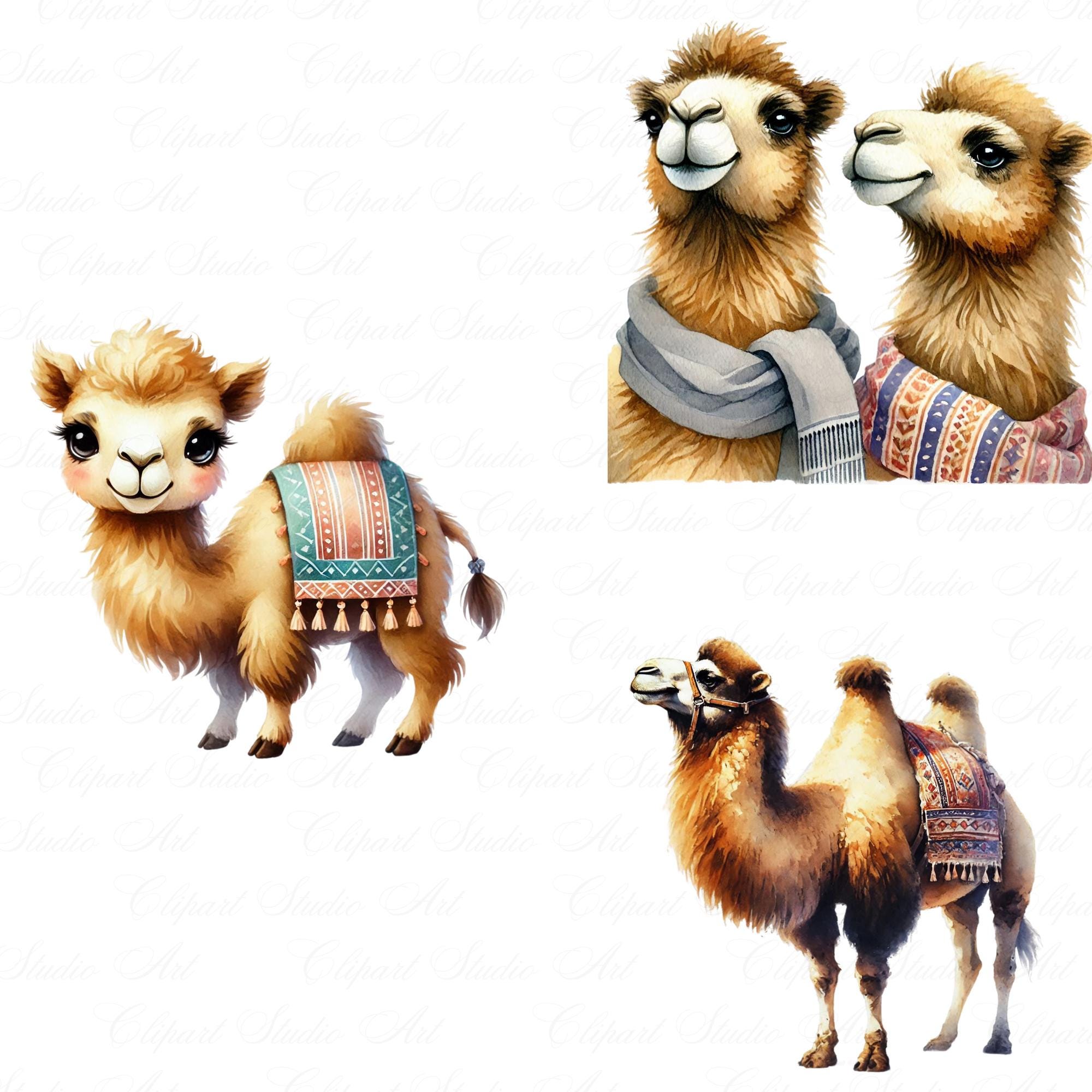 20 Cute Camel Clipart, Christmas Camel Clipart, Camel Santa Hat, Cute ...