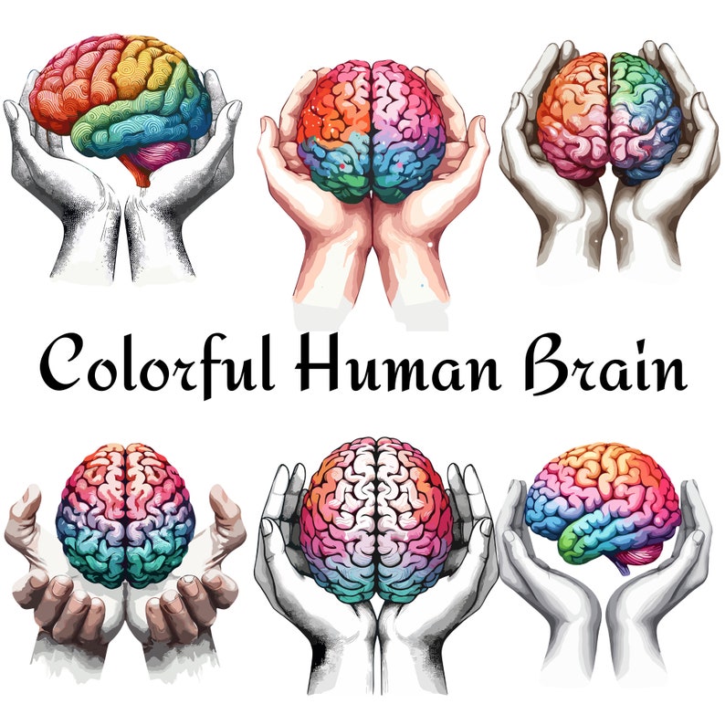 Colorful Human Brain Clipart, Brain Anatomy Graphics Clipart, Hand ...