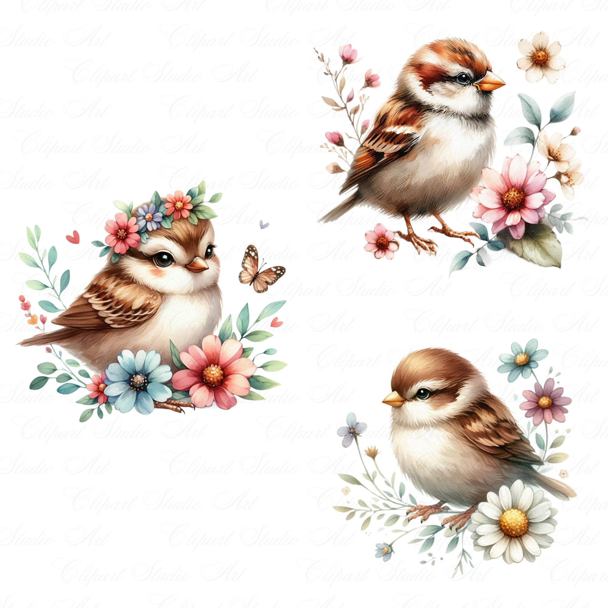 18 Cute Sparrows Clipart, Cute Sparrow With Flowers Clipart, Watercolor Cute Sparrows High ...