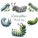 14 Colorful Caterpillars Clipart, Watercolor Spring Bug Clipart ...