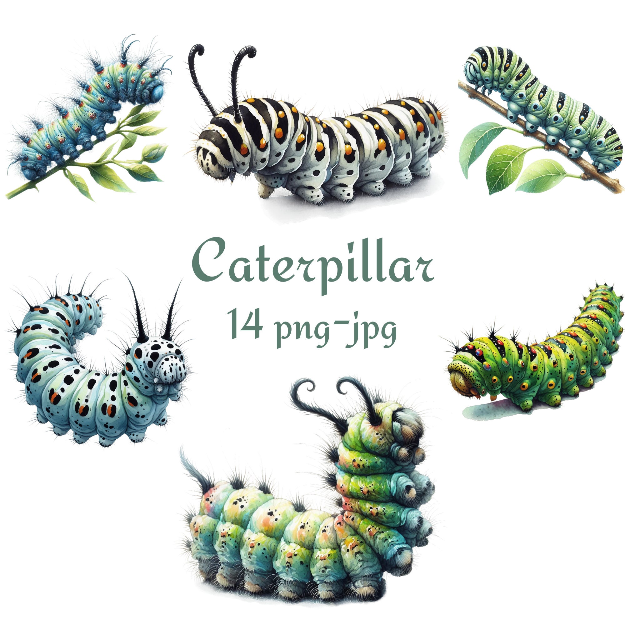 14 Colorful Caterpillars Clipart, Watercolor Spring Bug Clipart ...