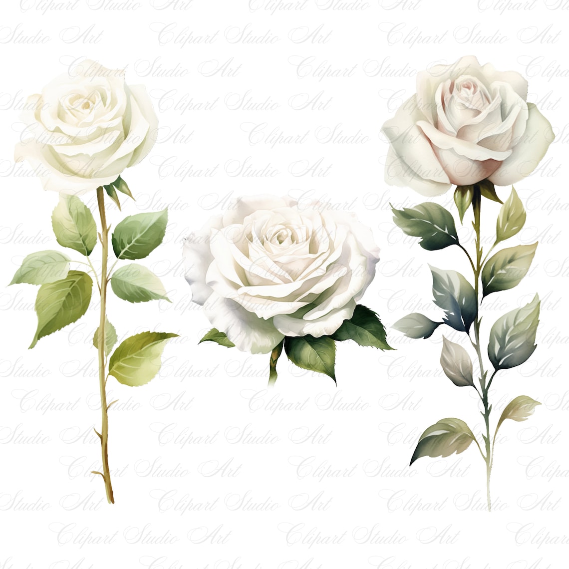 22 White Rose Clipart, Wedding Bridal Shower White Rose Flowers Clipart ...