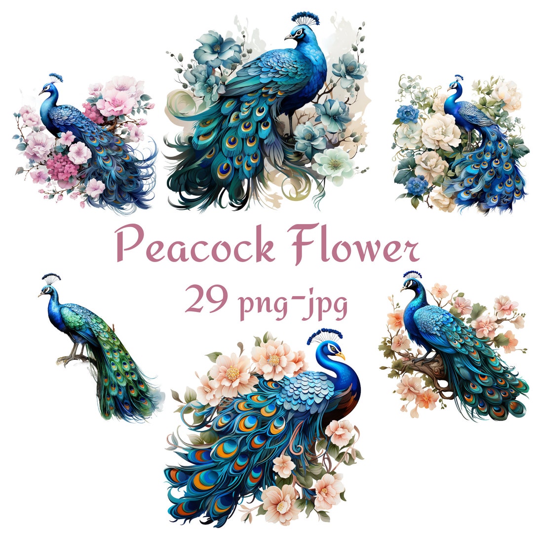 29 Peacock Flower Clipart, Watercolor Floral Peacock Clipart, Adorable ...