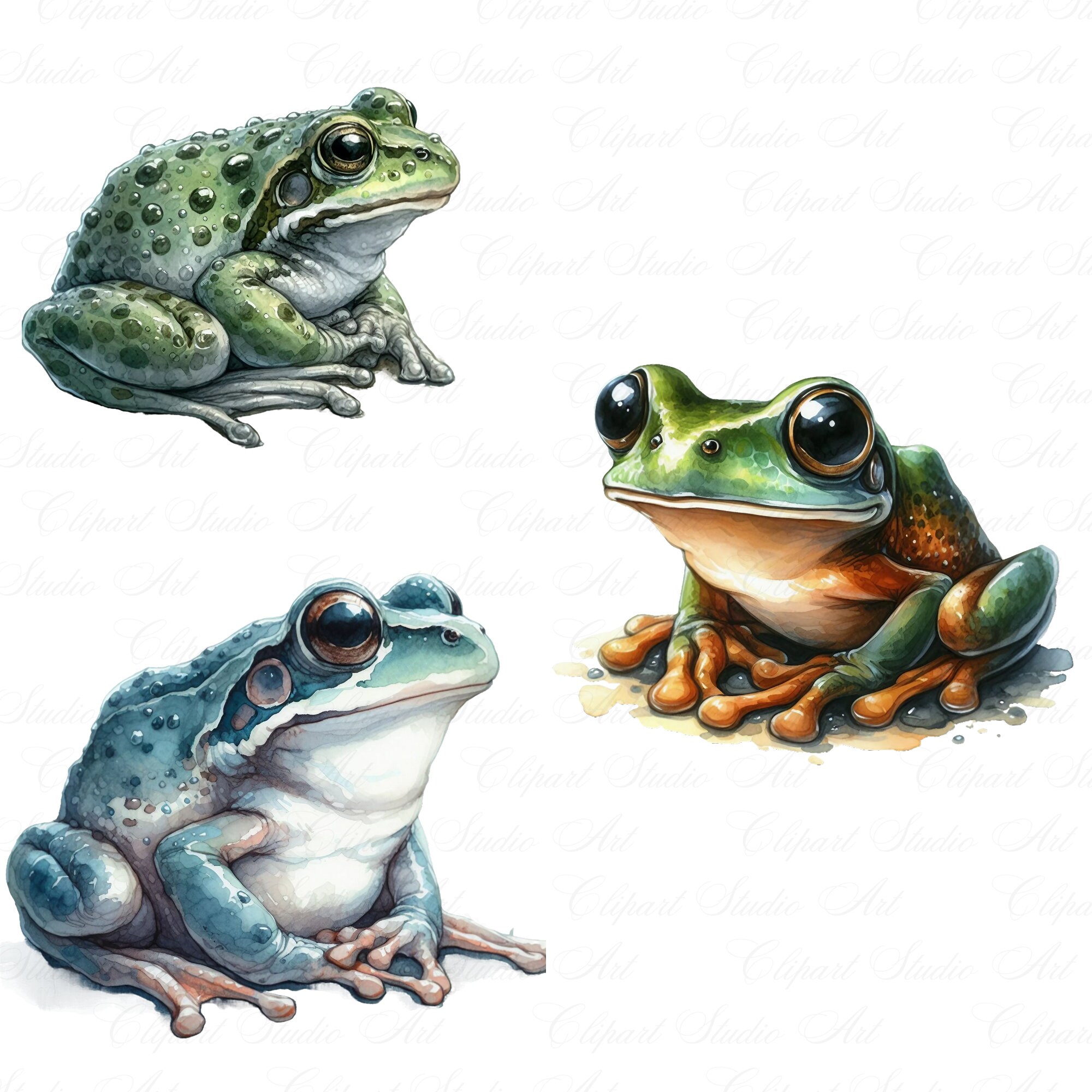 16 Frogs Clipart, Watercolor Toad Clipart, Watercolor Frogs High ...