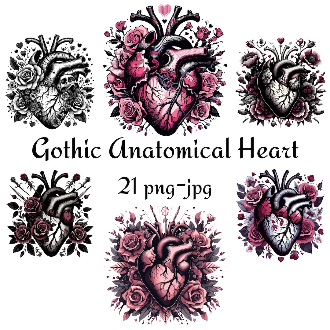 21 Gothic Anatomical Heart Clipart, Watercolor Anatomical Heart Clip ...