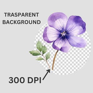 97 Violet Flower Bundle Clipart, Basket, Bouquet, Flower, Wreath ...