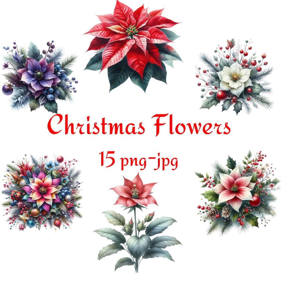 15 Christmas Flowers, Colorful Flowers Clipart, Watercolor Christmas ...