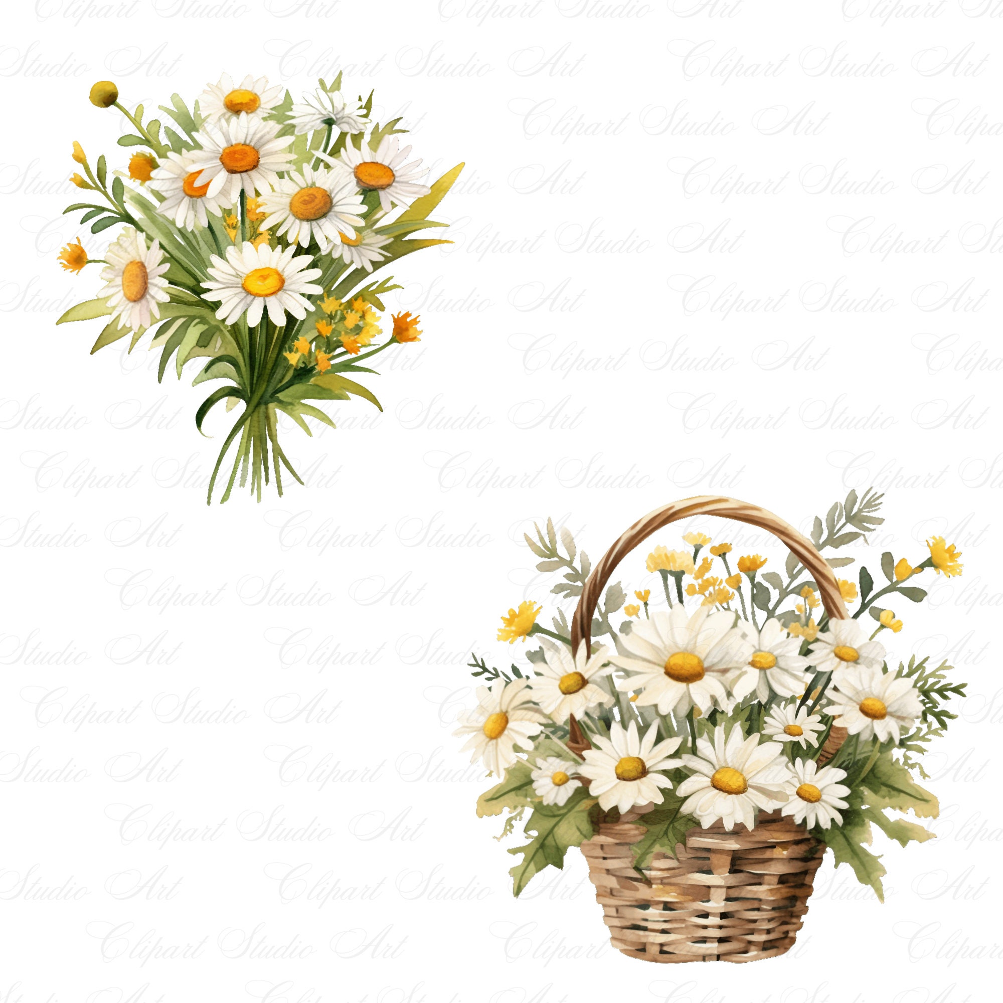 76 Daisy Flower Bundle Clipart, Daisy Basket, Daisy Bouquet, Daisy ...