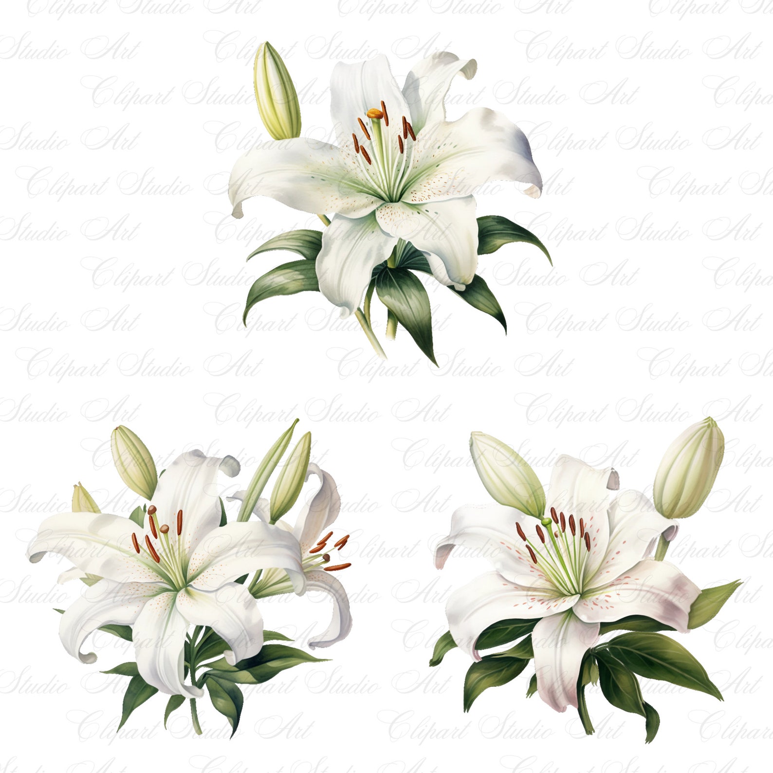 25 White Lily Flower Clipart, Wedding Bridal Shower White Lily Flowers ...