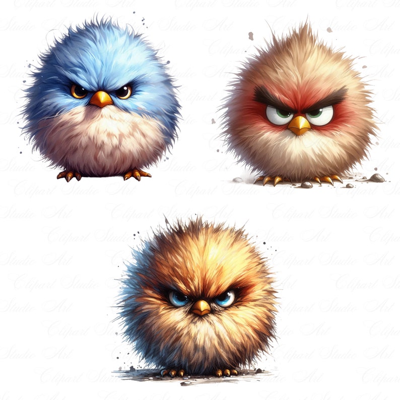 19 Angry Fluffy Bird Clipart, Grumpy Birds Clipart, Watercolor Angry ...
