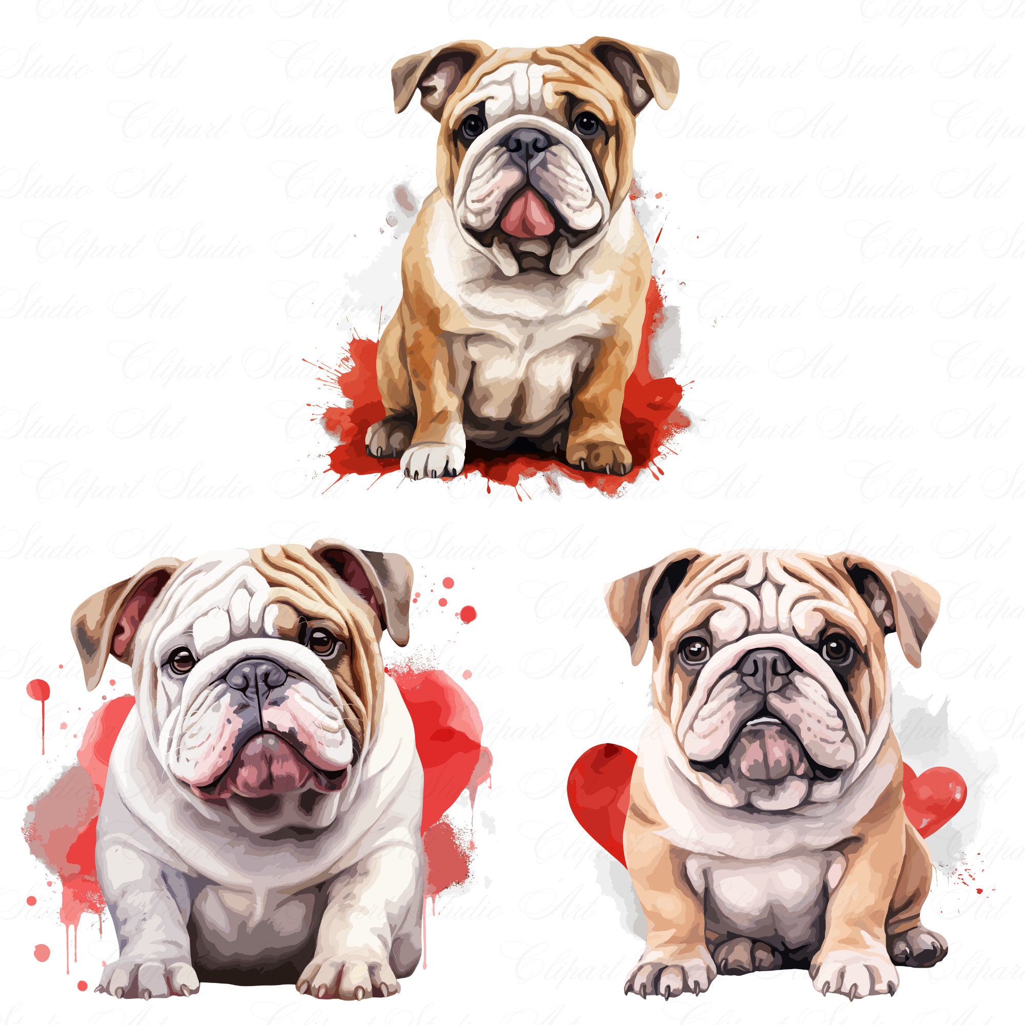 15 Cute Bulldog Dog Clipart, Cute Heart Bulldog Dog Clipart, Watercolor ...