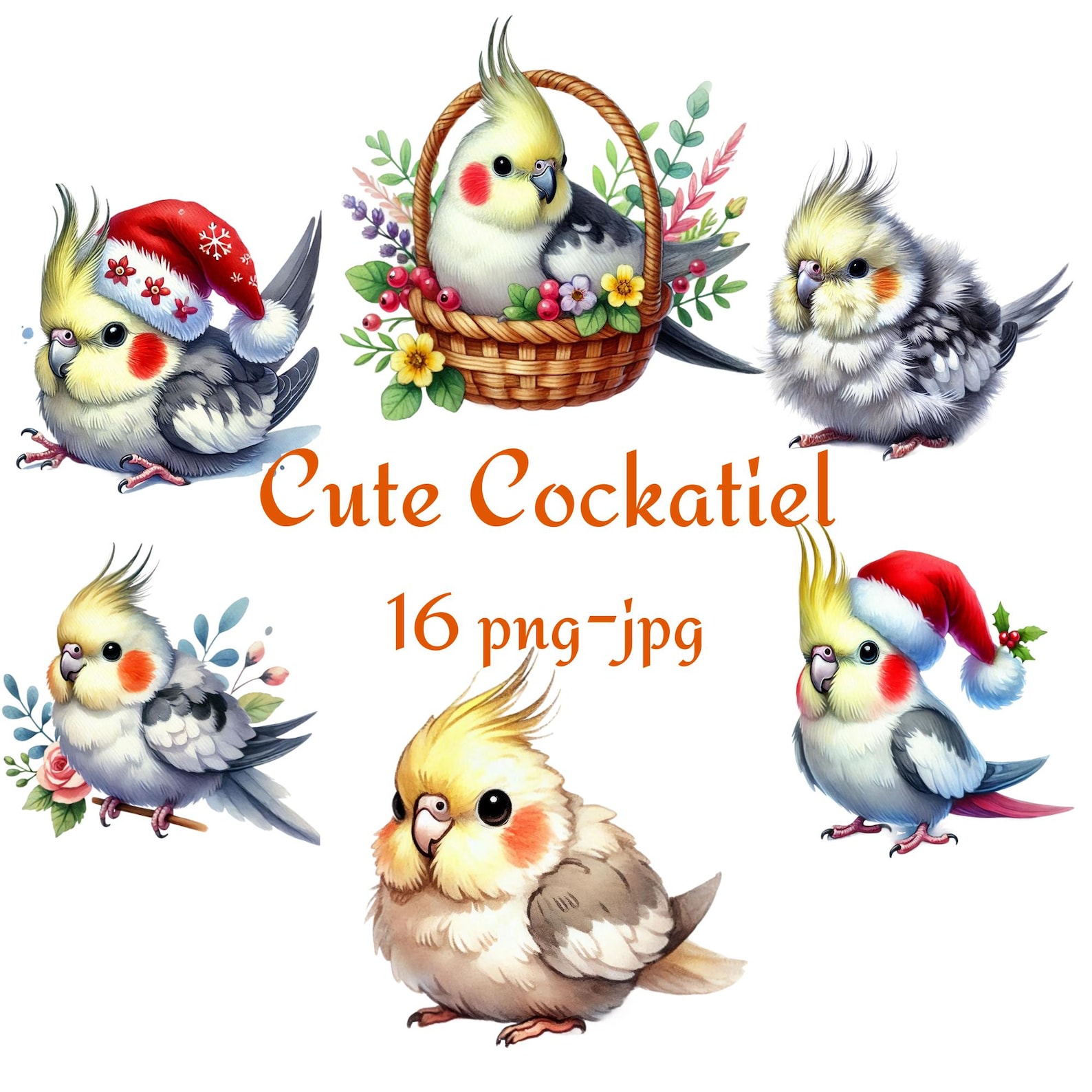 16 Cute Cockatiel Clipart, Christmas Cockatiel Santa Hat Clipart ...