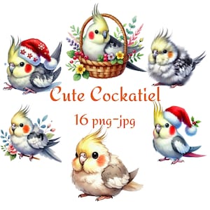 16 Cute Cockatiel Clipart, Christmas Cockatiel Santa Hat Clipart ...