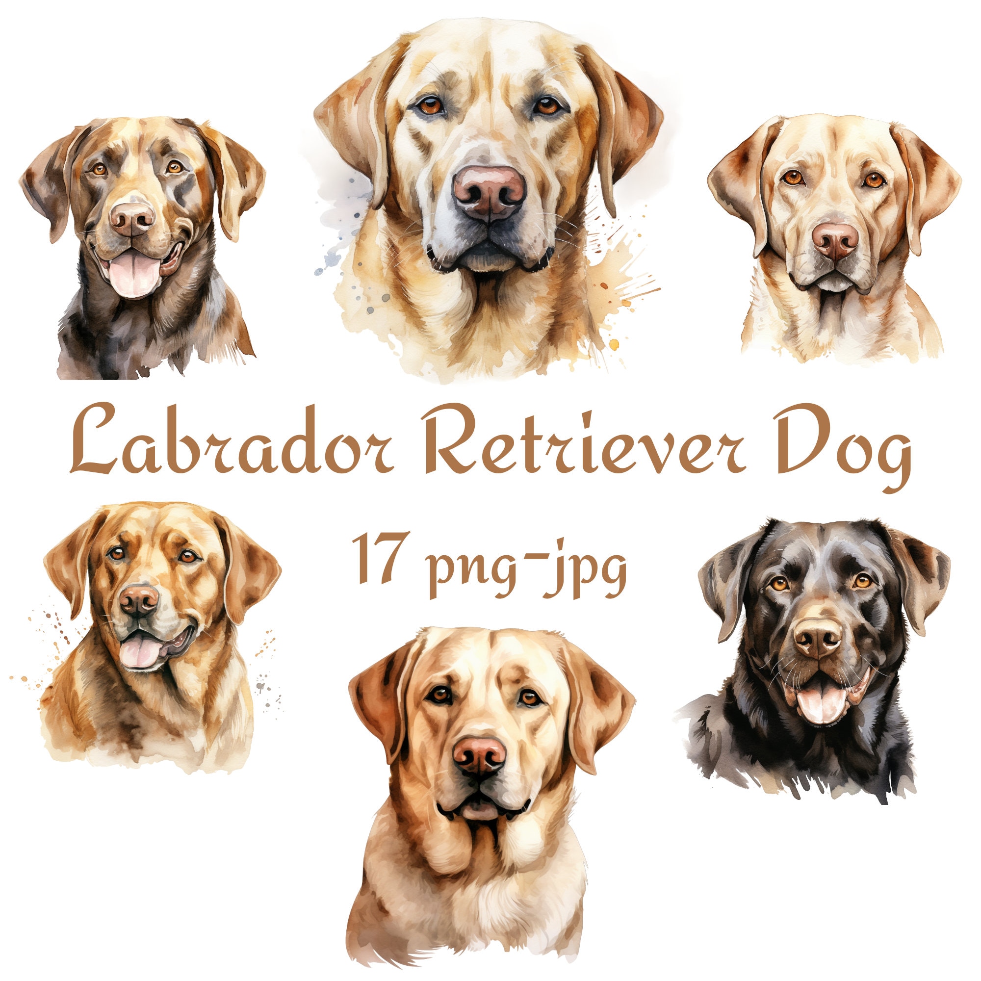 17 Labrador Retriever Dog Clipart, Watercolor Labrador Retriever ...