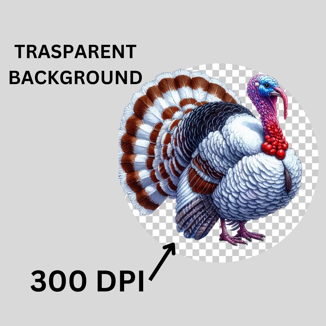 19 Turkey Clipart, Various and Colorful Turkeys Clipart, Watercolor ...