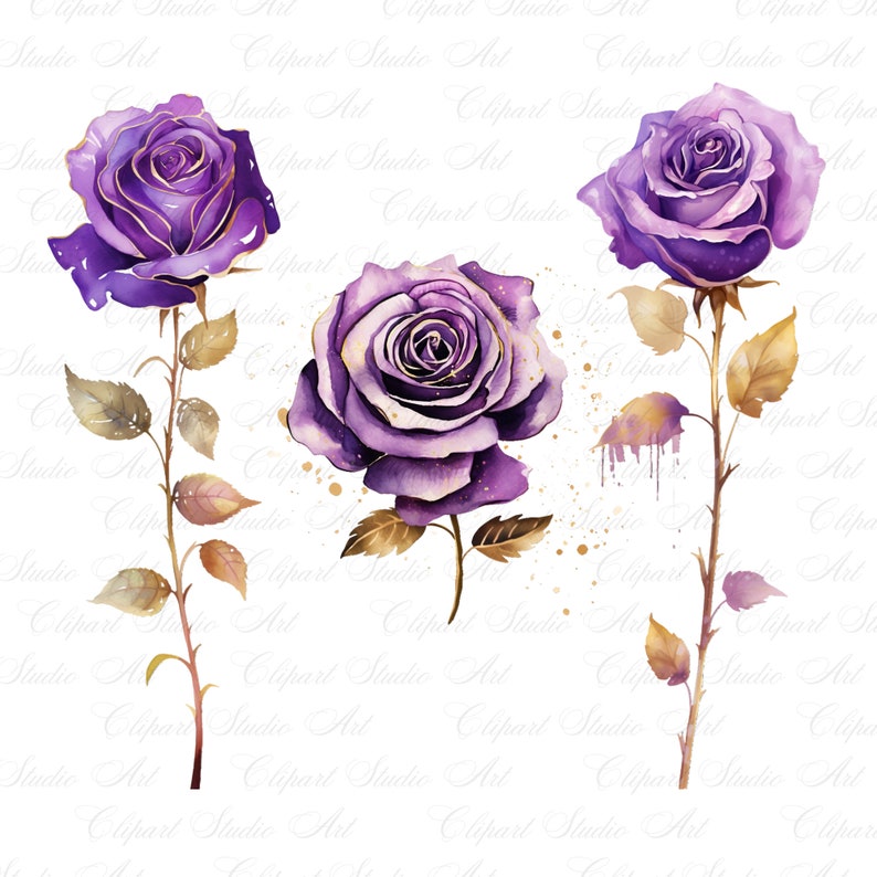 16 Purple Rose With Golden Glitter Clipart, Wedding Bridal Shower ...