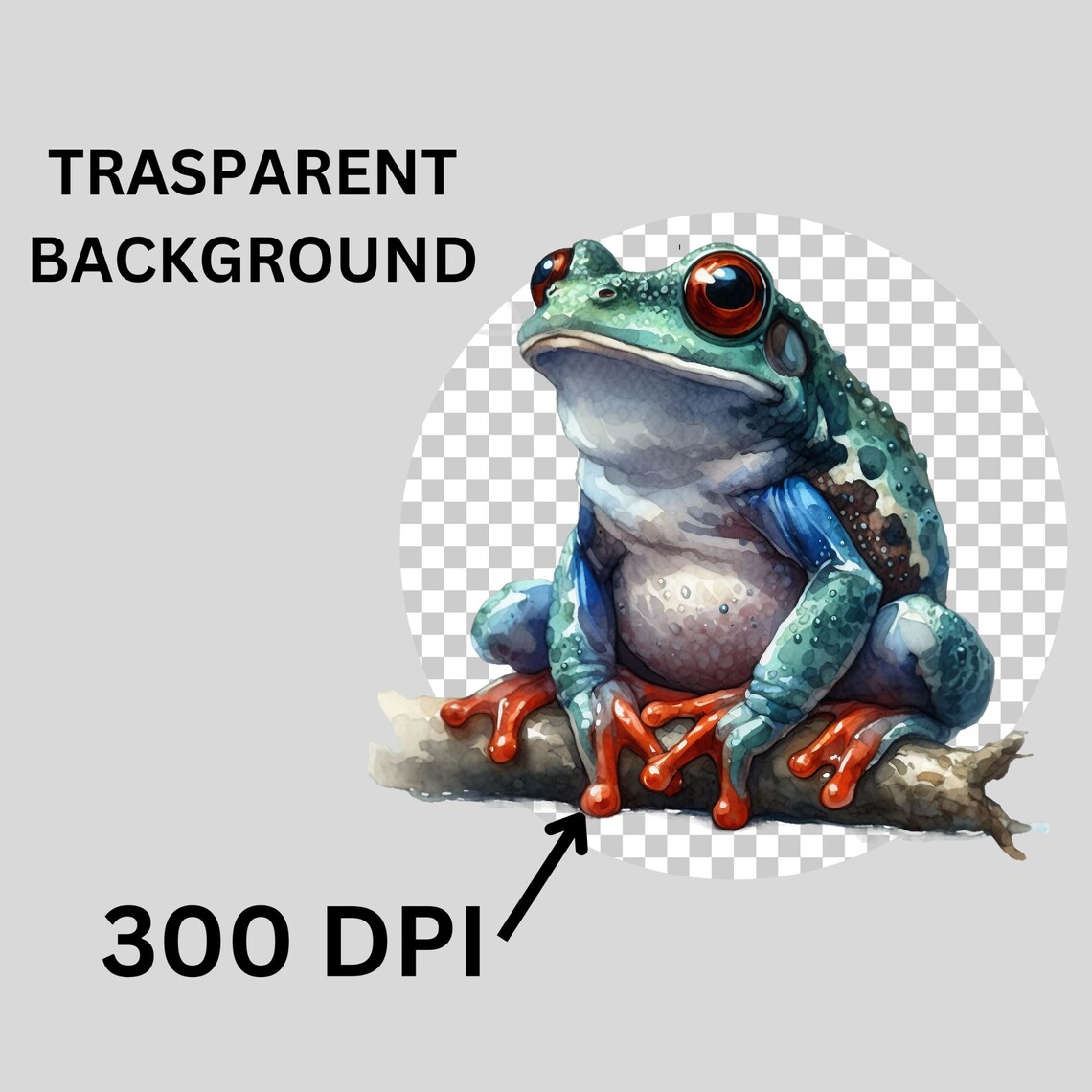 16 Frogs Clipart, Watercolor Toad Clipart, Watercolor Frogs High ...