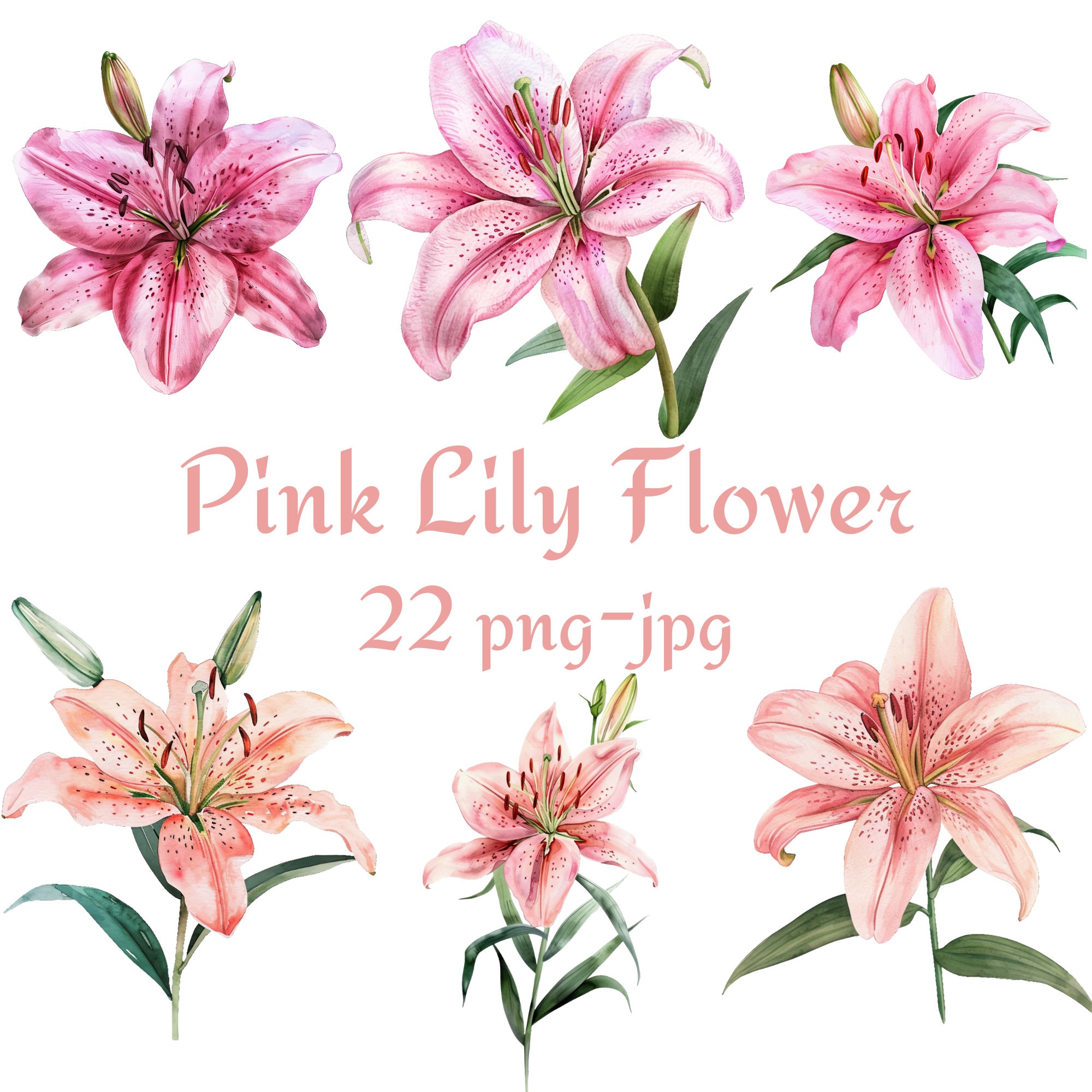 22 Pink Lily Flower Clipart, Wedding Bridal Shower Pink Lily Flower ...