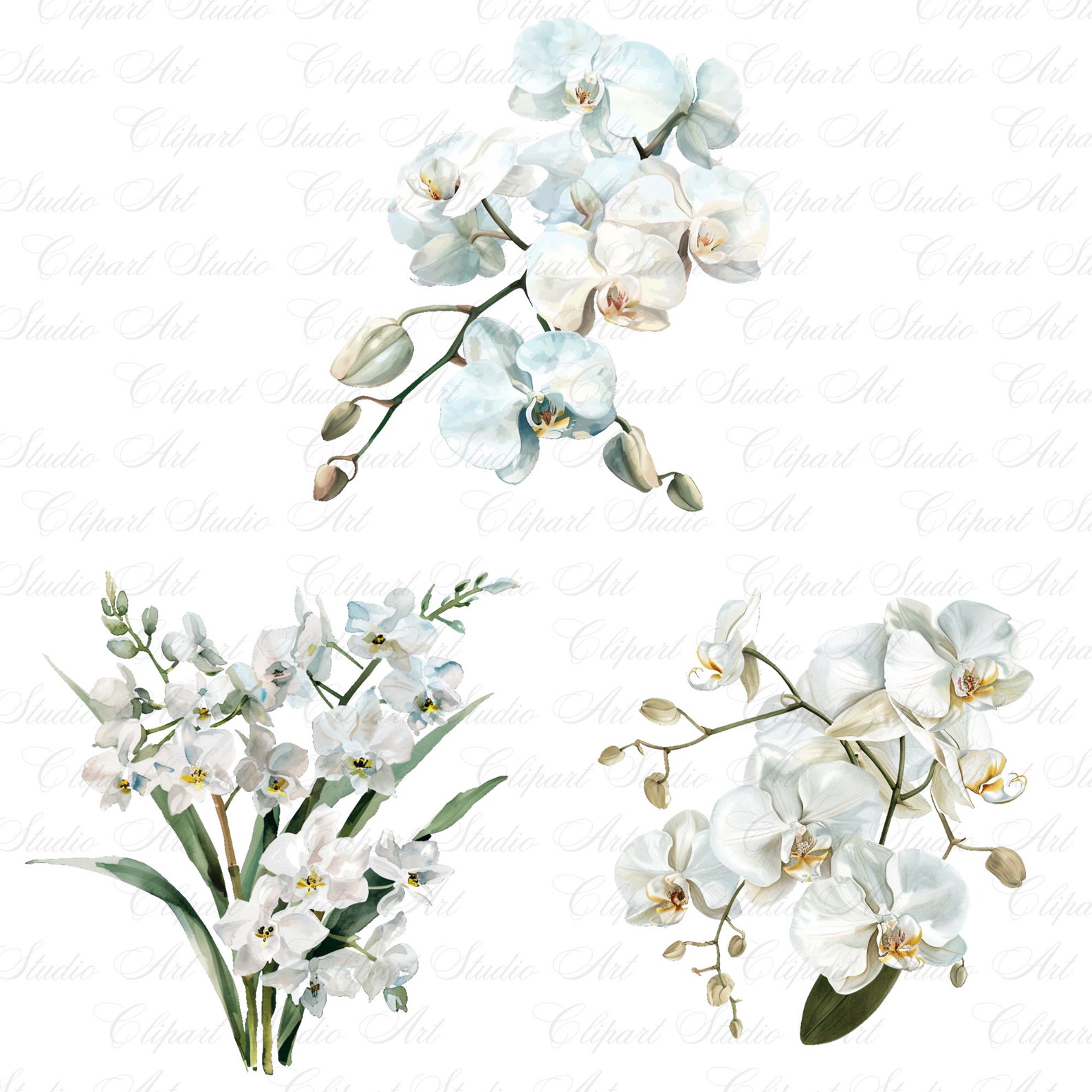 12 White Orchid Bouquet Clipart, Wedding Bridal Shower White Orchid ...