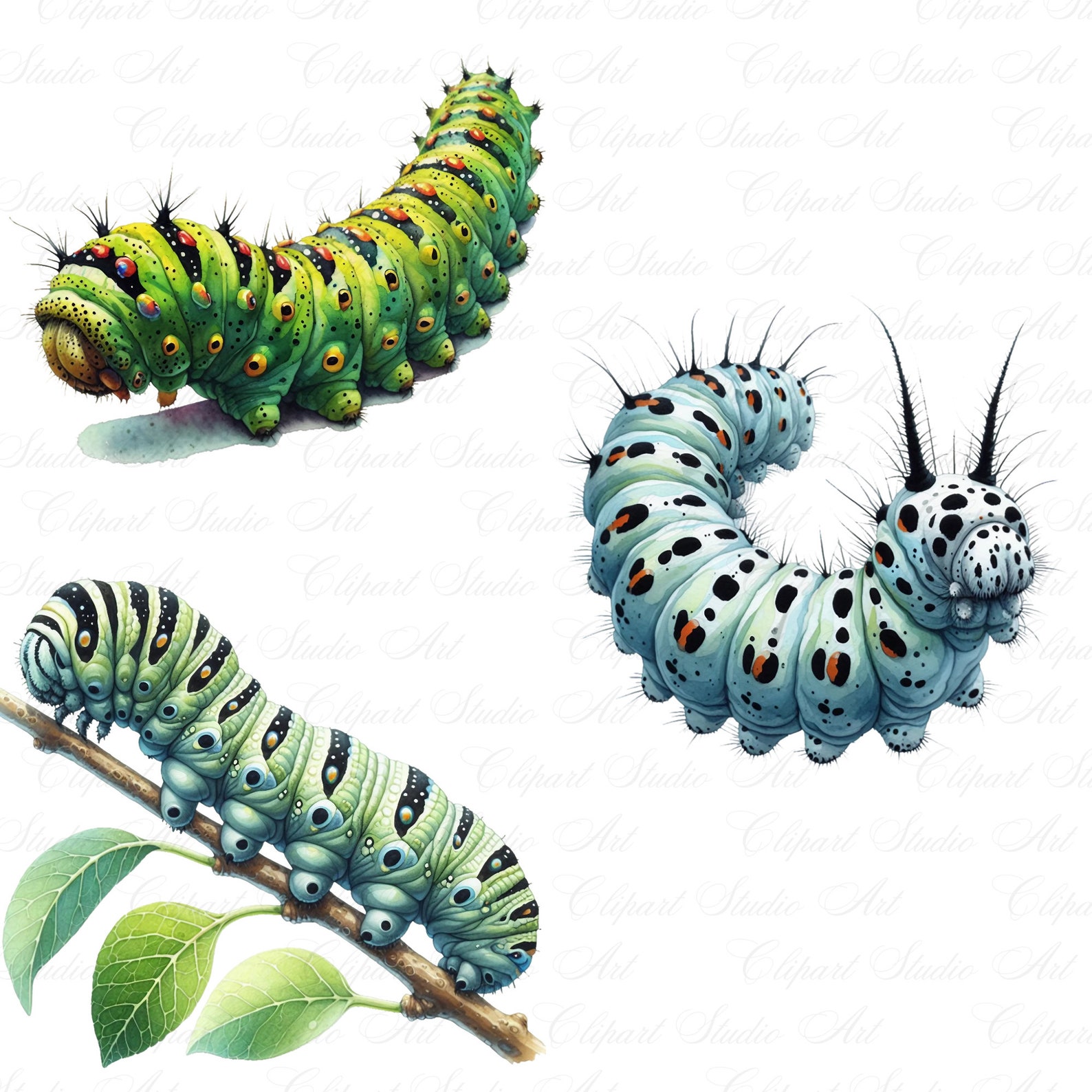 14 Colorful Caterpillars Clipart, Watercolor Spring Bug Clipart ...