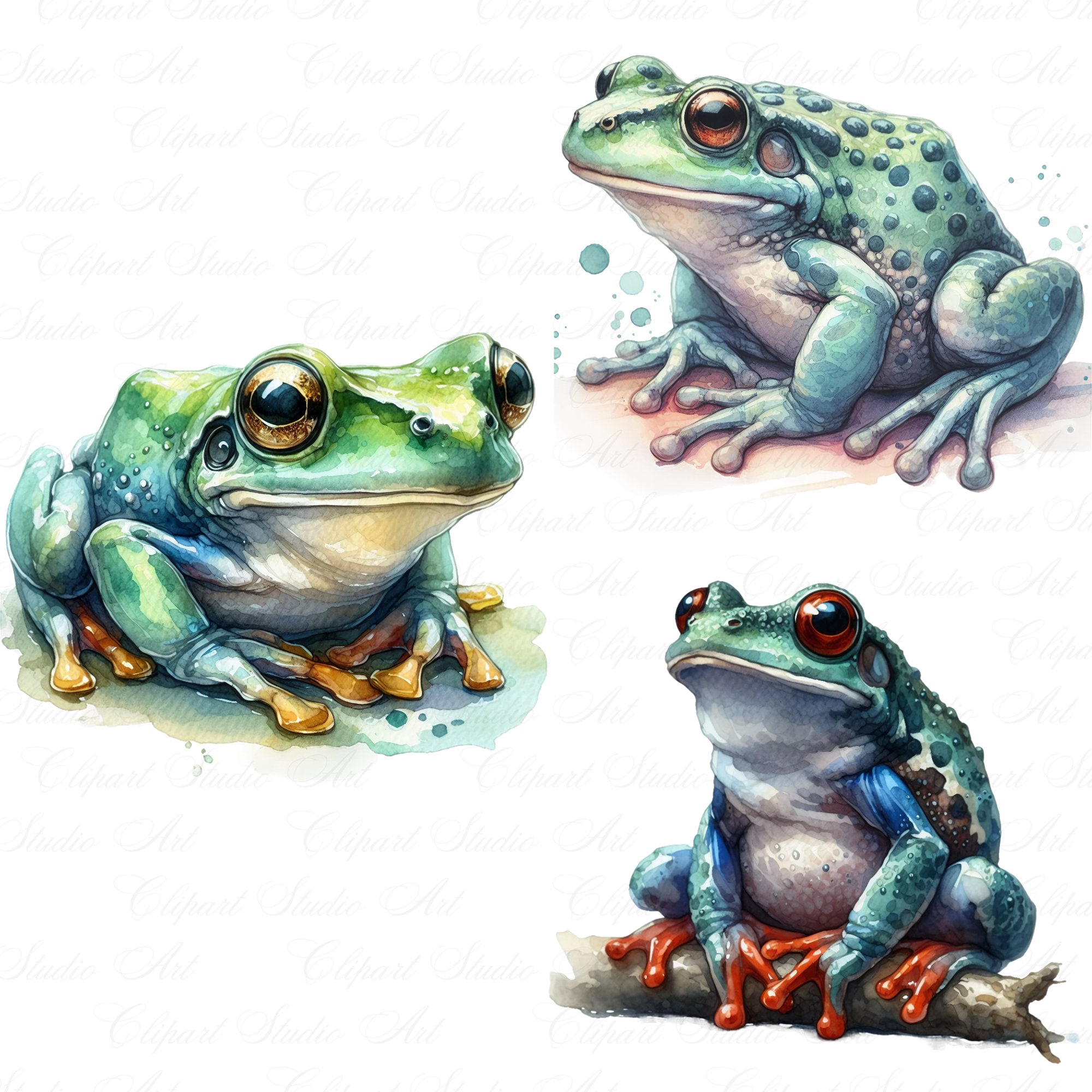 16 Frogs Clipart, Watercolor Toad Clipart, Watercolor Frogs High ...