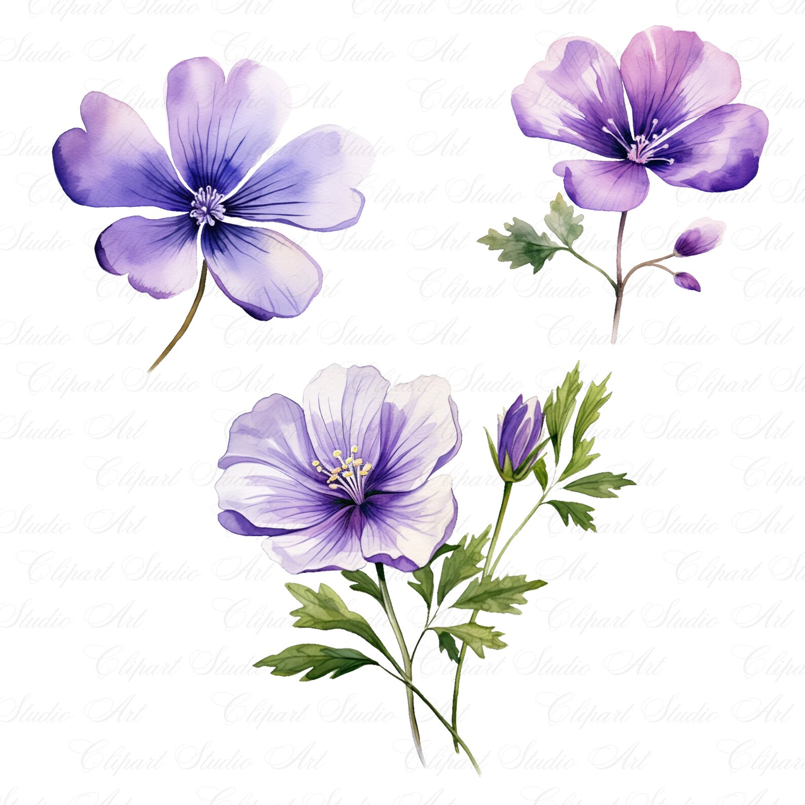 19 Violet Flower Clipart, Wedding Bridal Shower Violet Flower Clipart ...