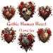 13 Anatomical Heart Clipart, Gothic Human Heart Valentines Clipart ...