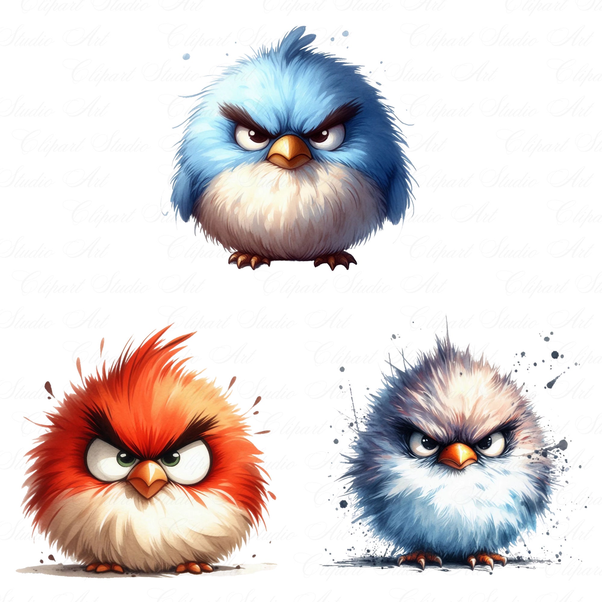 19 Angry Fluffy Bird Clipart, Grumpy Birds Clipart, Watercolor Angry ...