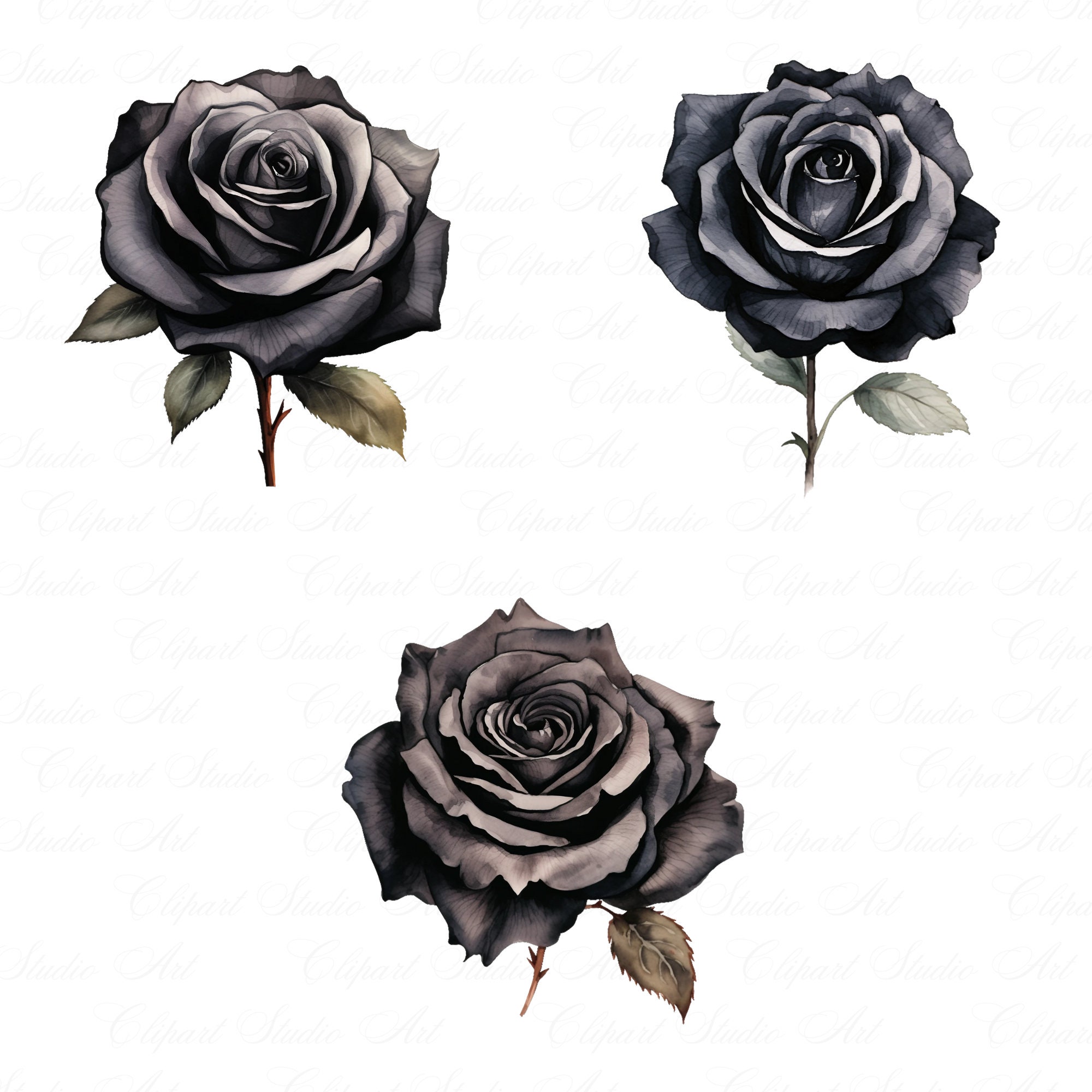 22 Dark Black Rose Clipart, Wedding Bridal Shower Black Rose High ...