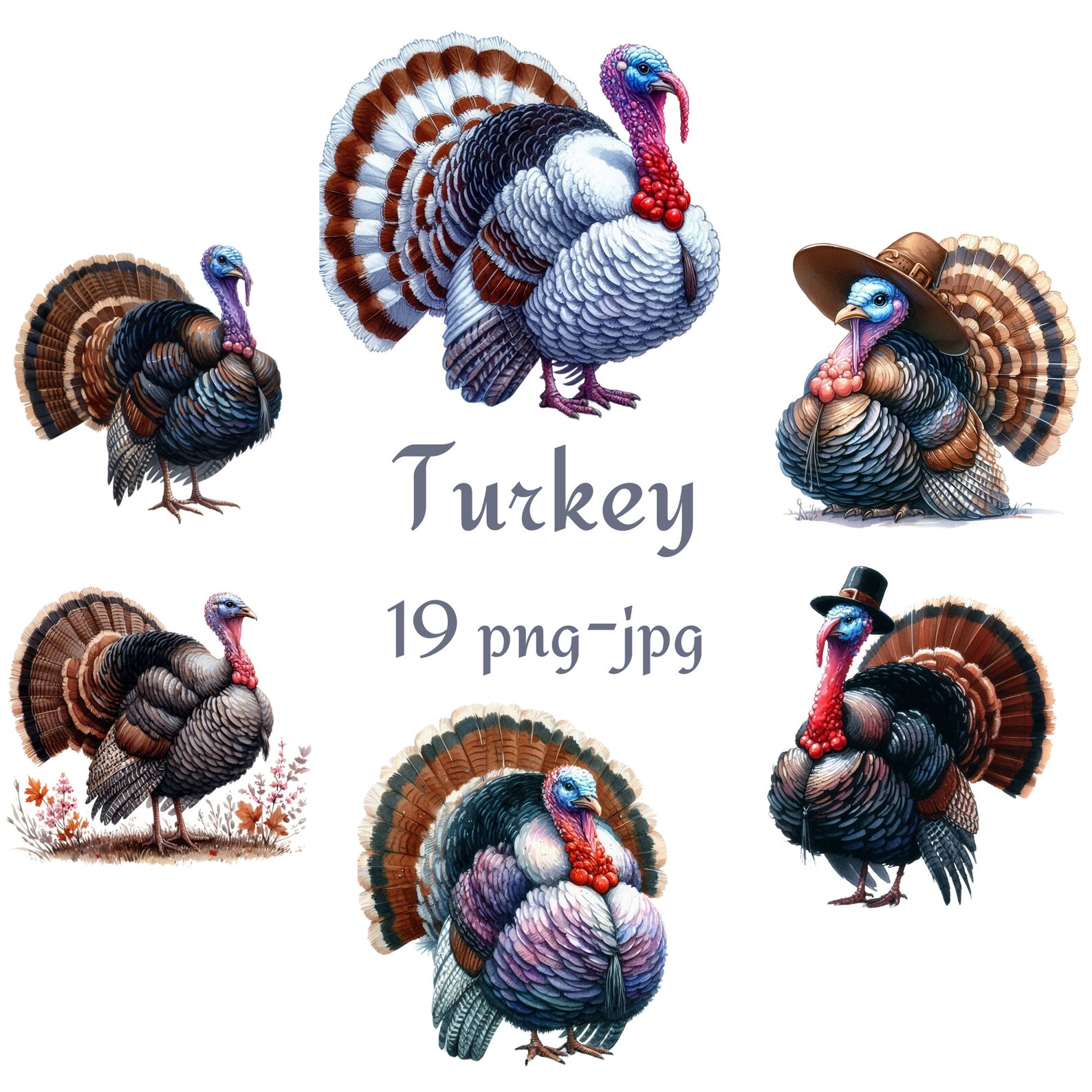19 Turkey Clipart, Various and Colorful Turkeys Clipart, Watercolor ...