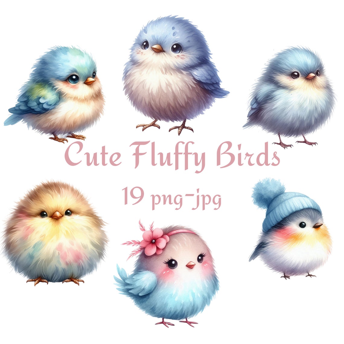 19 Cute Fluffy Birds Clipart, Funny Birds Clipart, Watercolor Cute ...