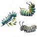 14 Colorful Caterpillars Clipart, Watercolor Spring Bug Clipart ...