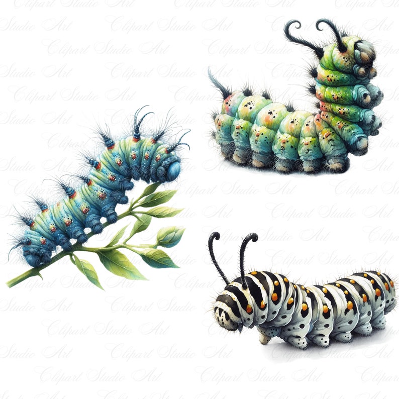 14 Colorful Caterpillars Clipart, Watercolor Spring Bug Clipart ...