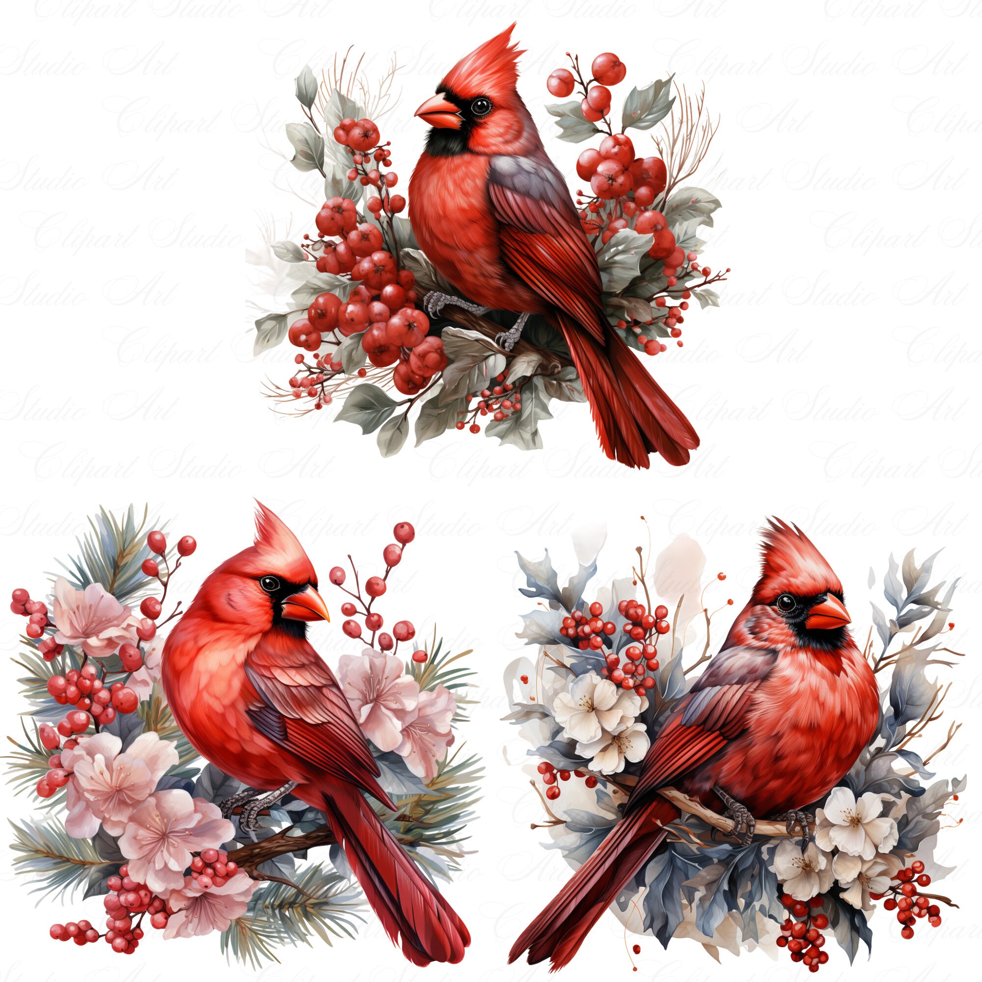 14 Red Cardinal Christmas Floral Clipart, Cardinal Birds Gift Clipart ...