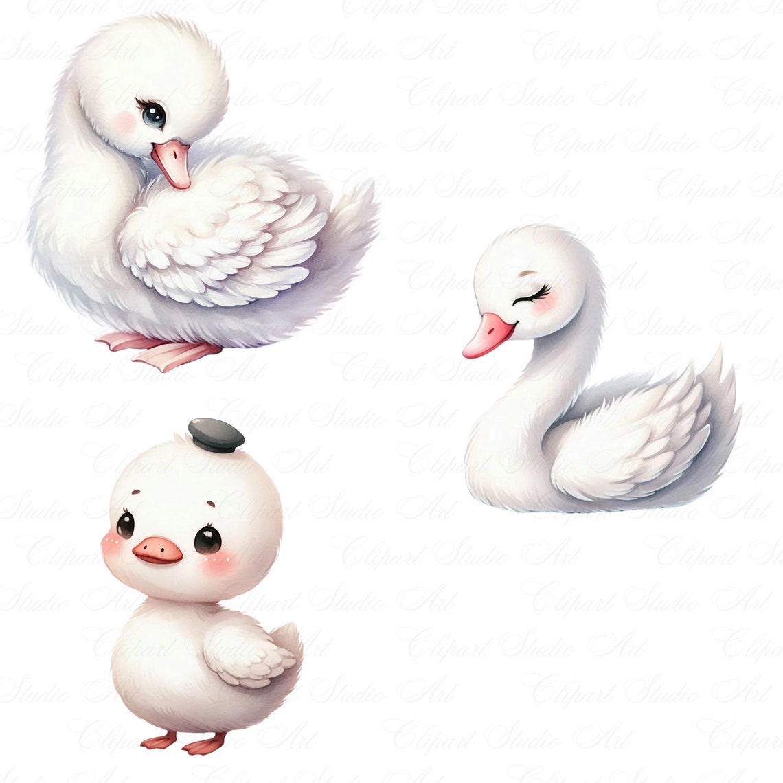 18 Cute Swans Clipart, Cute Baby Swan Clipart, Watercolor Cute Swans ...