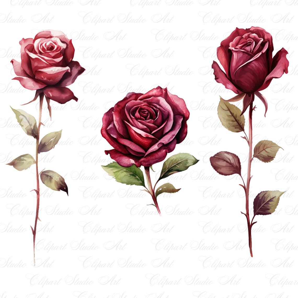 23 Burgundy Rose Clipart, Wedding Bridal Shower Burgundy Rose Clipart ...