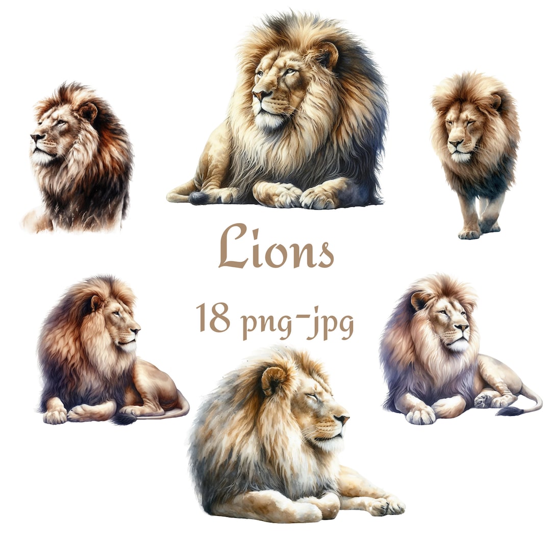 18 Lions Clipart, the Wild Nature Clipart, High Quality Watercolor ...