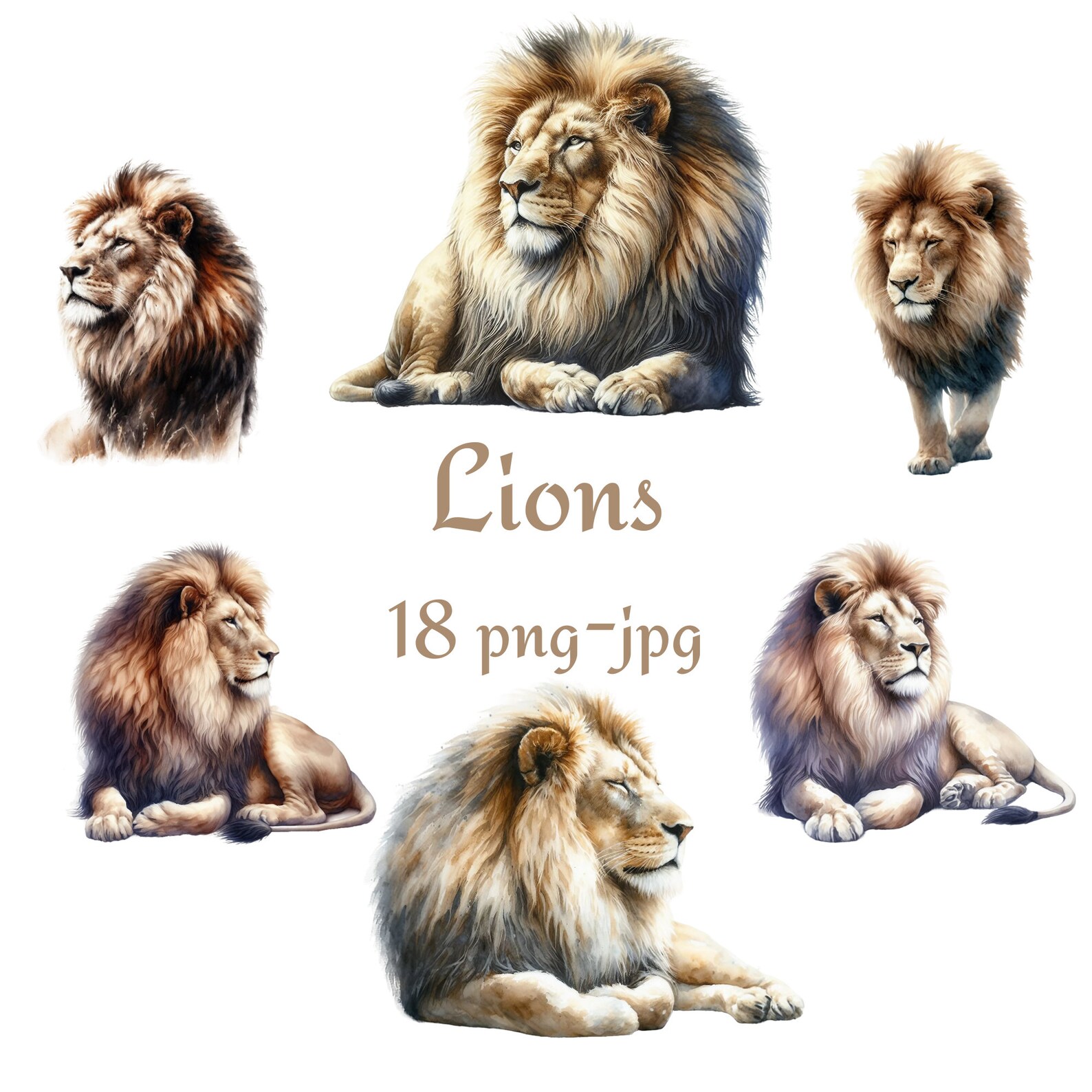 18 Lions Clipart, the Wild Nature Clipart, High Quality Watercolor ...