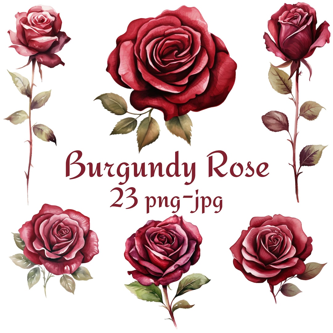 23 Burgundy Rose Clipart, Wedding Bridal Shower Burgundy Rose Clipart ...