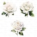 22 White Rose Clipart, Wedding Bridal Shower White Rose Flowers Clipart ...